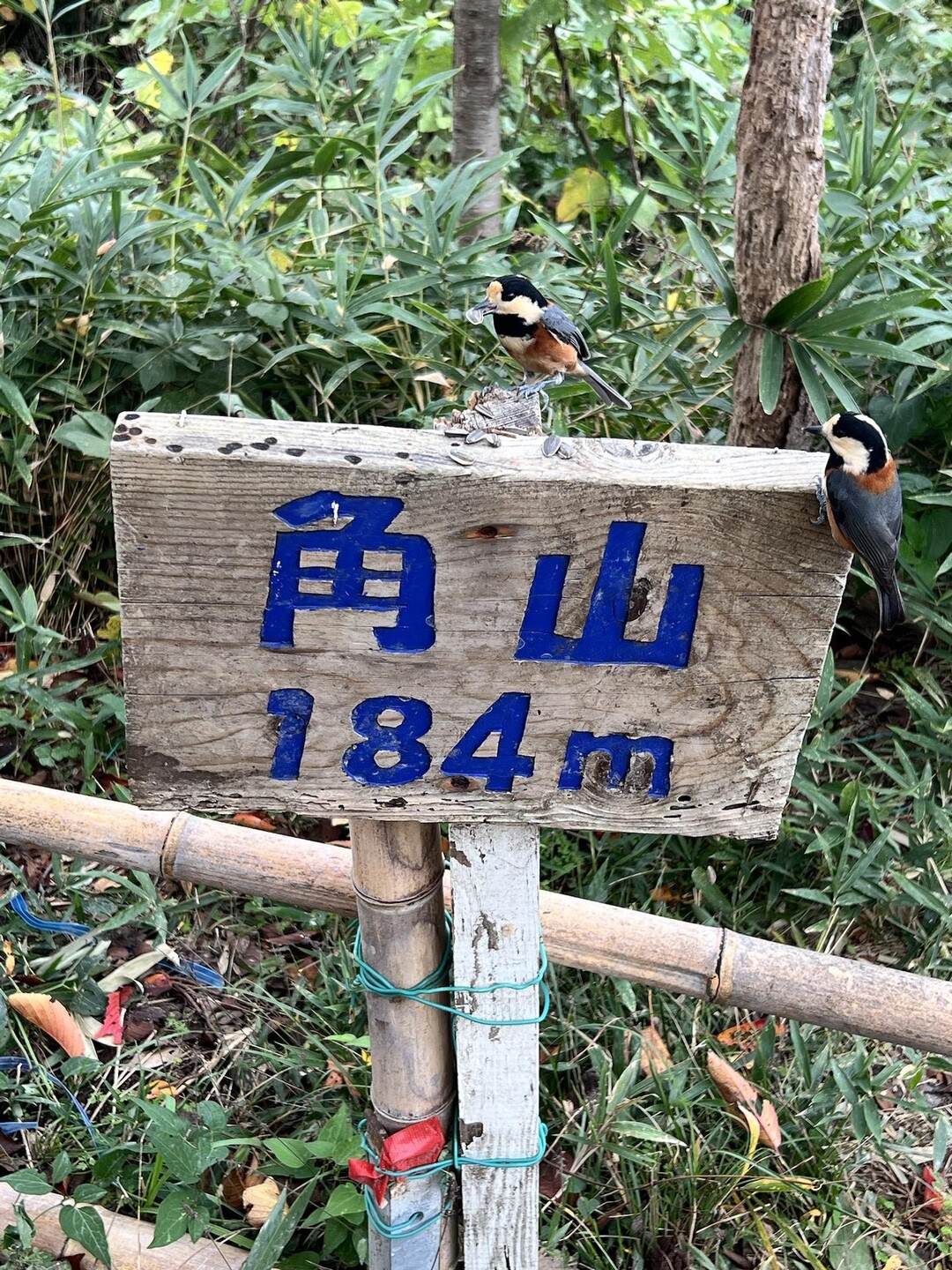 角山、一本目 / KOZO.Mさんの城山・郷師山の活動データ | YAMAP / ヤマップ