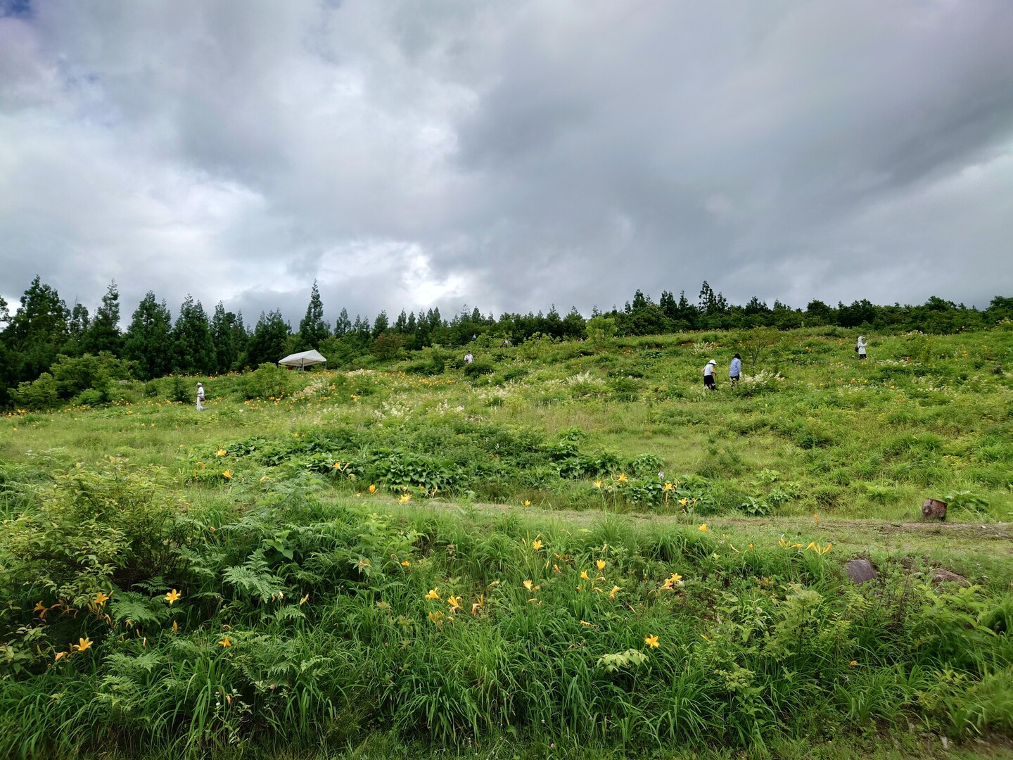 今日も暑くなりそうなので家族👪で白山高... / MU10さんのモーメント | YAMAP / ヤマップ
