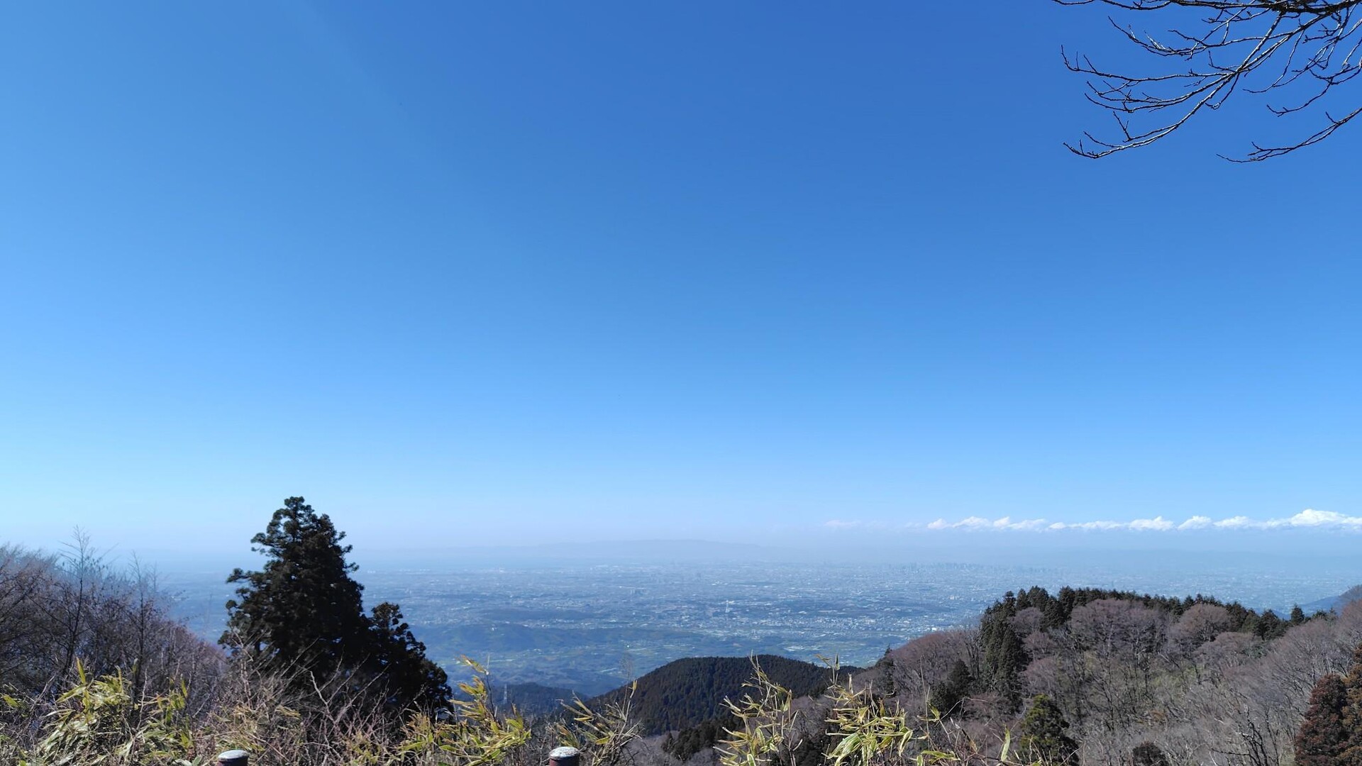 金剛山：雨上がりの金剛山 / clutch_tさんの金剛山・二上山・大和葛城山の活動データ | YAMAP / ヤマップ