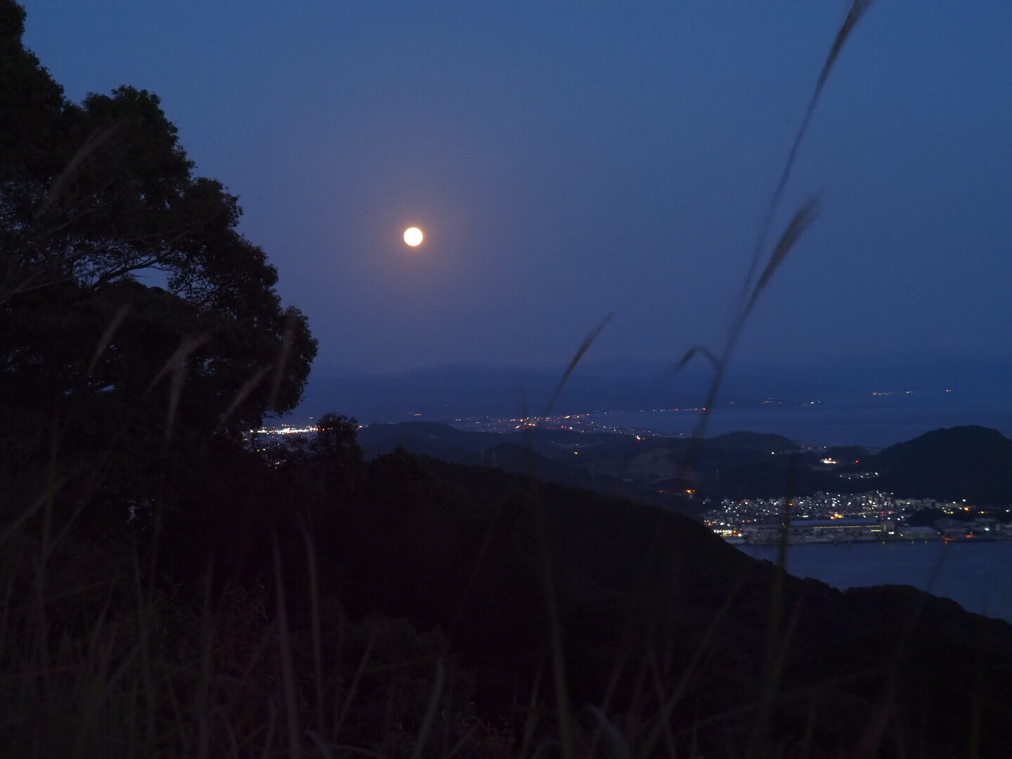 おじさんたちの月見 in鷲尾山 / S.Kitaさんの鷲尾山・皿ヶ峰・宇津野山の活動データ | YAMAP / ヤマップ