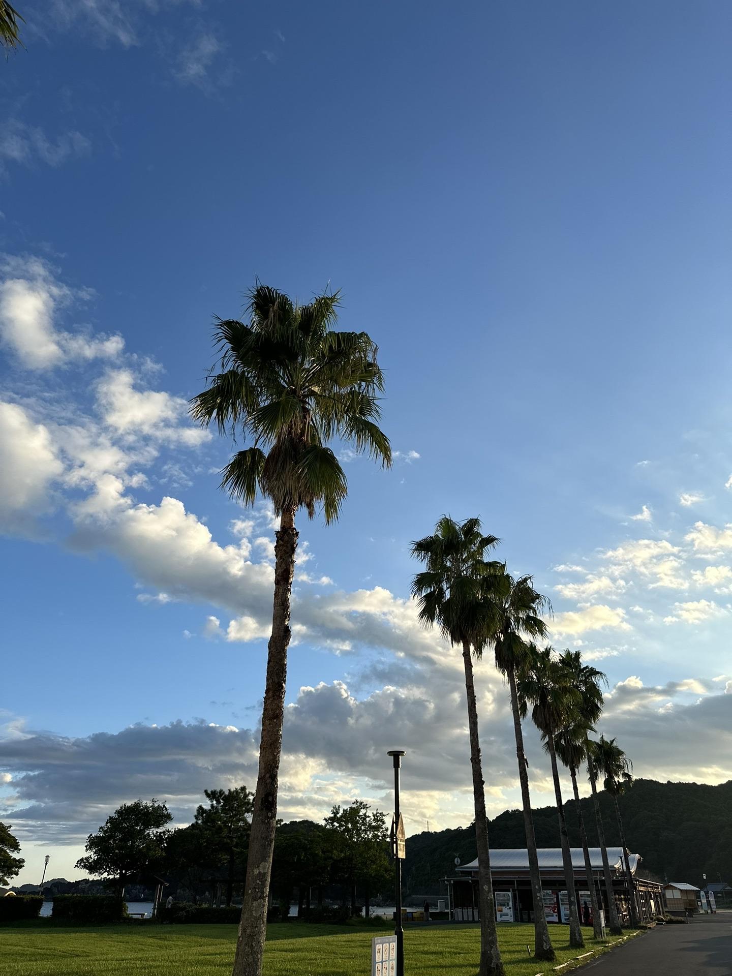 おはようございます☁️ 久しぶりにキャン... / RNさんのモーメント | YAMAP / ヤマップ