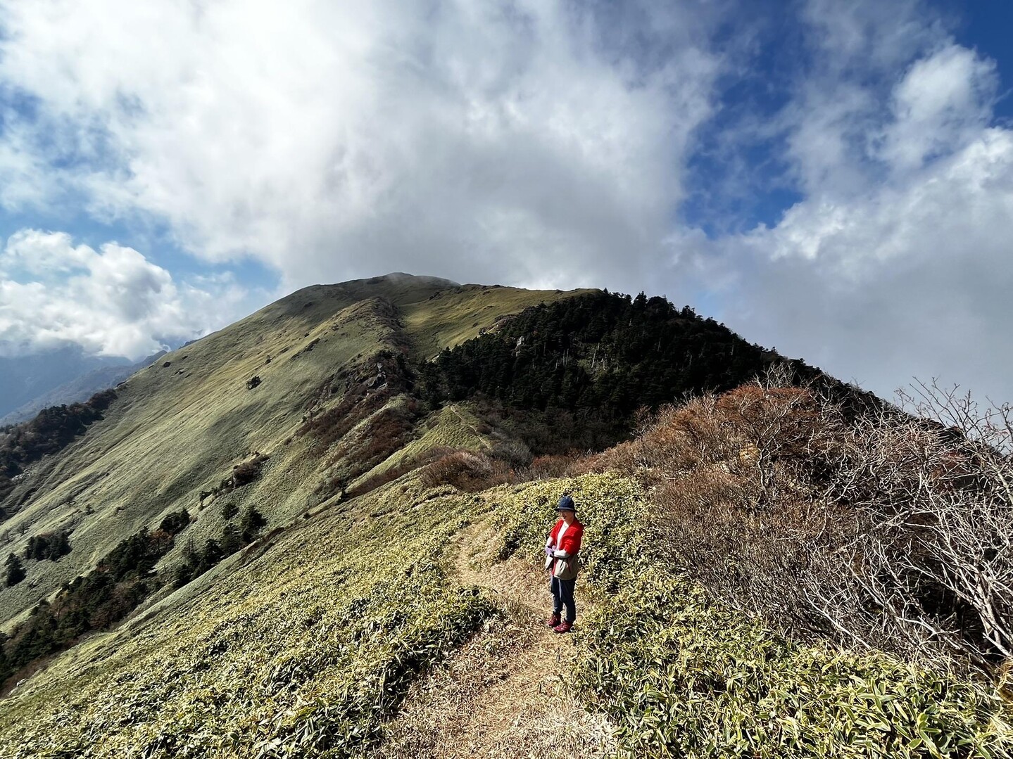 ちち山・笹ヶ峰 / きゅんさんの笹ヶ峰・寒風山・平家平の活動データ | YAMAP / ヤマップ