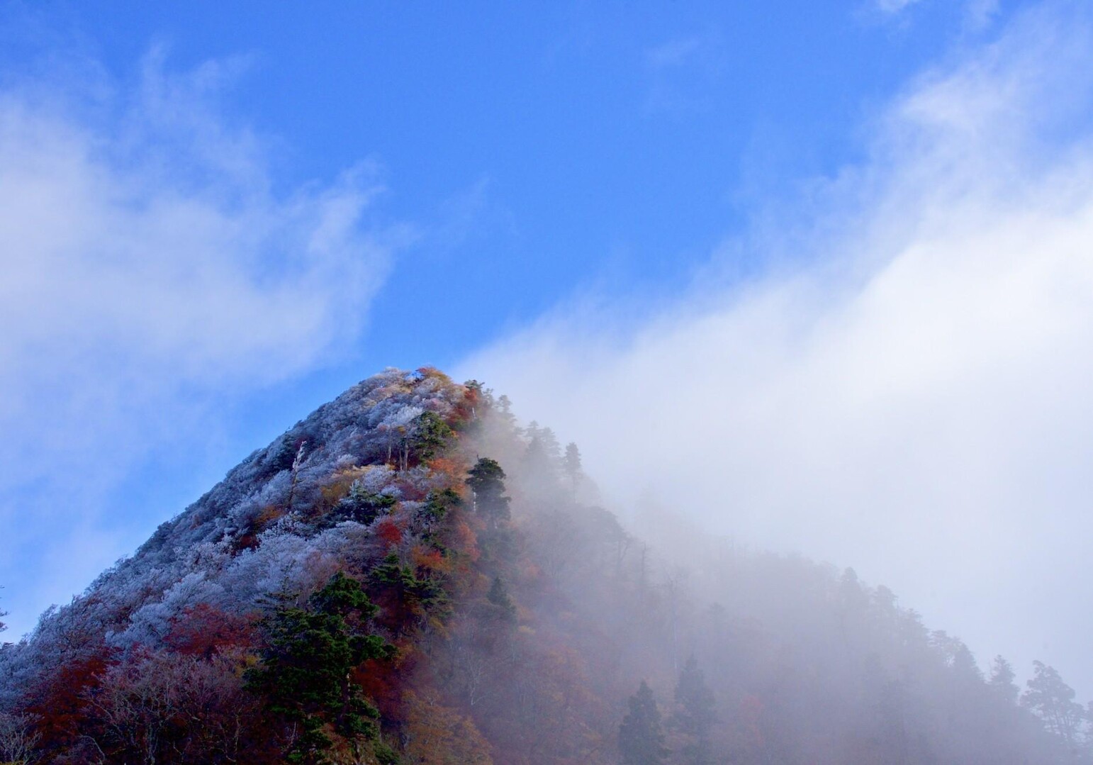 期待してましたよ ️大普賢岳 / ⛅Nori-jiさんの大峯奥駈道 その2（山上ヶ岳～太古ノ辻）の活動データ | YAMAP / ヤマップ
