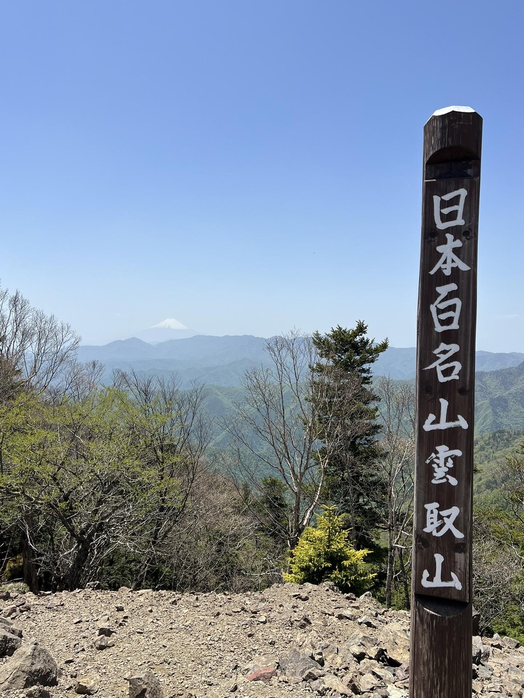 2023.5.17.雲取山 三峰ルート / yuumin222.さんの雲取山・鷹ノ巣山・七ツ石山の活動データ | YAMAP / ヤマップ