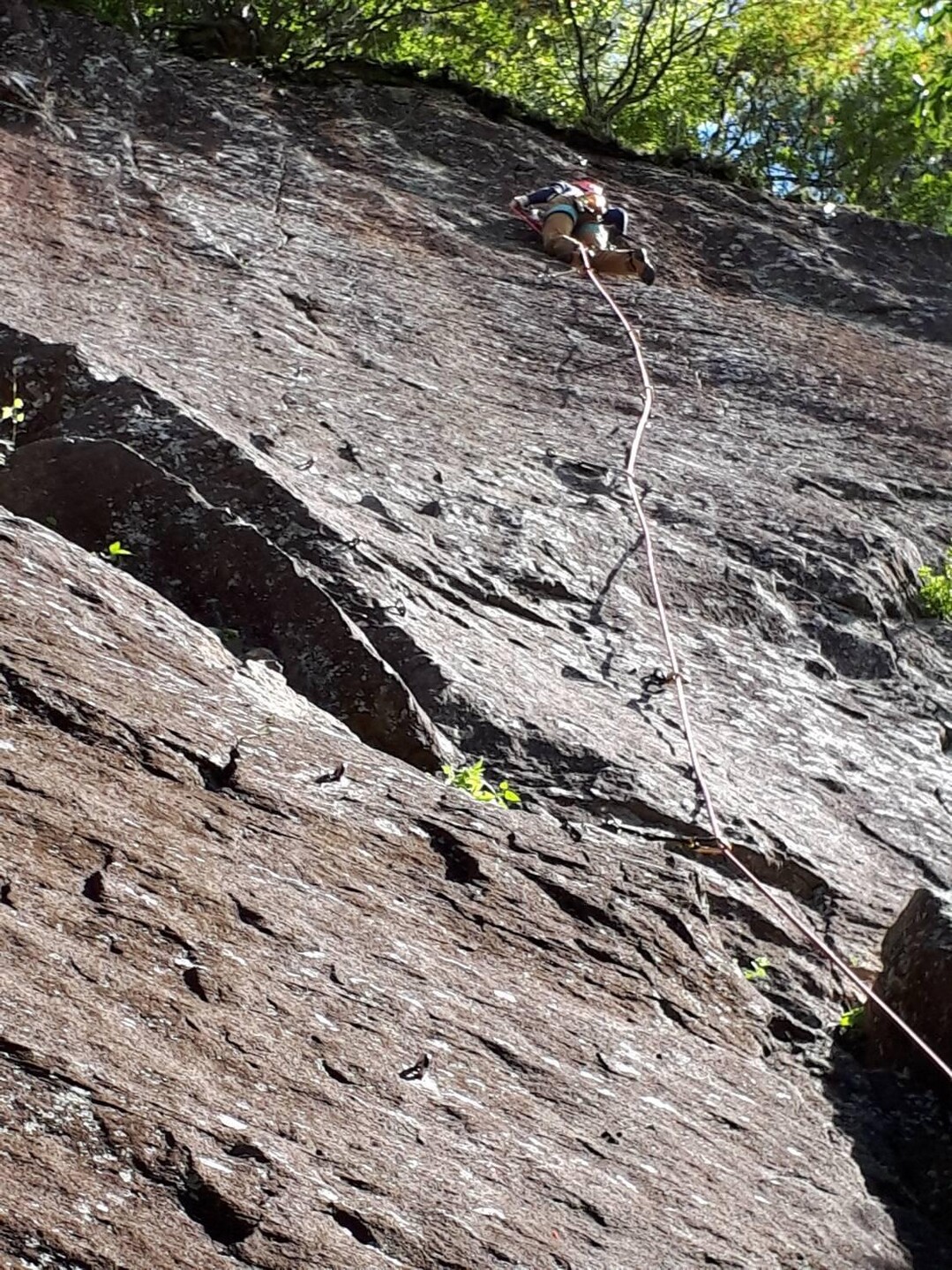 「ふ」RP ️やっと終わりました〜😊 / しょうこさんのモーメント | YAMAP / ヤマップ