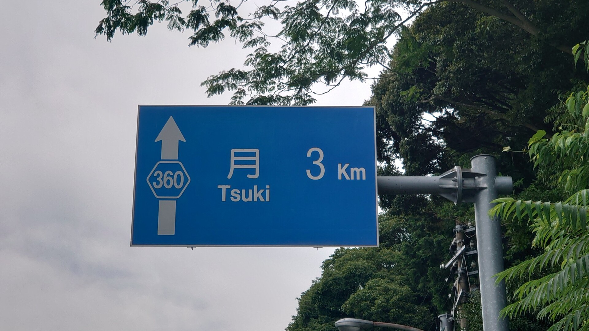 月まで3kmです😆 / フッチーさんのモーメント | YAMAP / ヤマップ