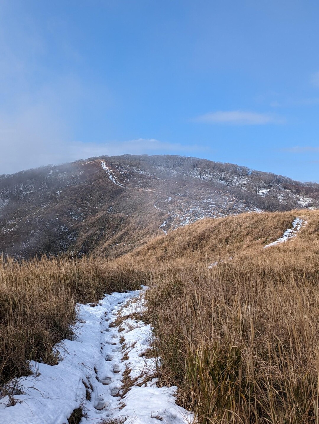赤坂山・寒風 / Rinさんの三国山・乗鞍岳・赤坂山の活動データ | YAMAP / ヤマップ