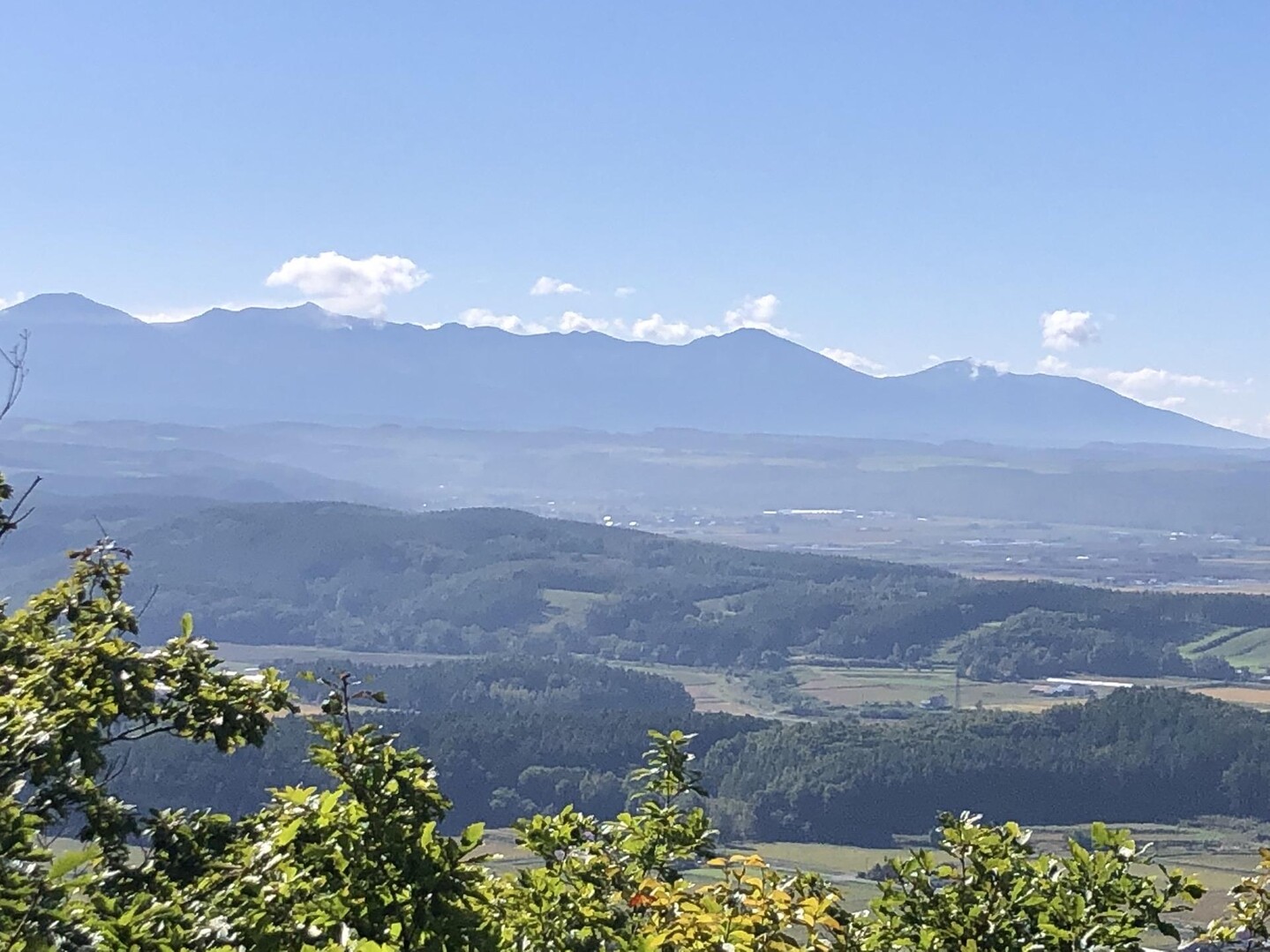 岐登牛山 #118 / mappyさんの岐登牛山の活動データ | YAMAP / ヤマップ