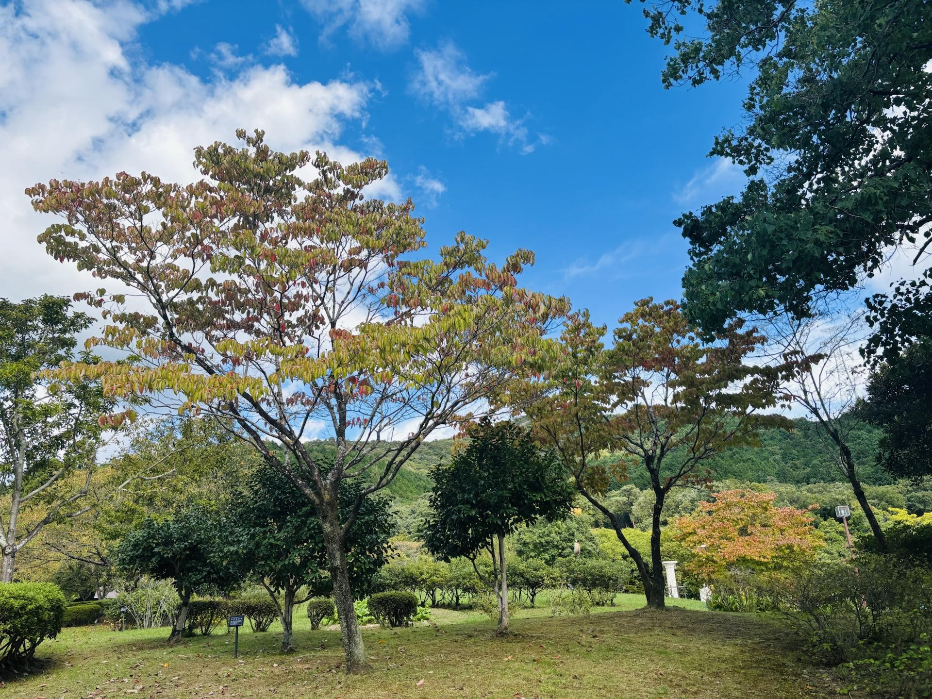 道樹山・大谷山・弥勒山 / oioiさんの春日井三山・弥勒山・大谷山・道樹山の活動データ | YAMAP / ヤマップ