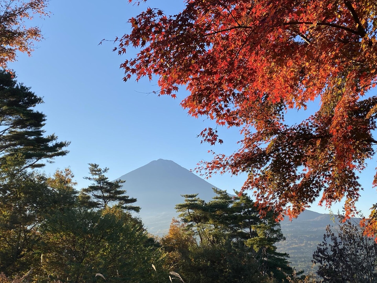 紅葉台・足和田山(山梨百名山44座目・富嶽三十六景) / Sam55さんの節刀ヶ岳・破風山・足和田山の活動データ | YAMAP / ヤマップ