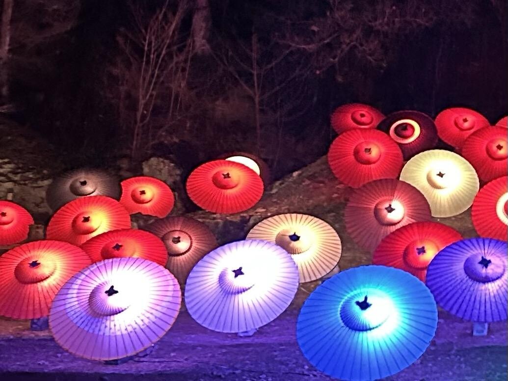 金華山⛰️ぎふ灯り物語2025 ️ / pippi🌱さんの金華山・洞山・舟伏山の活動データ | YAMAP / ヤマップ