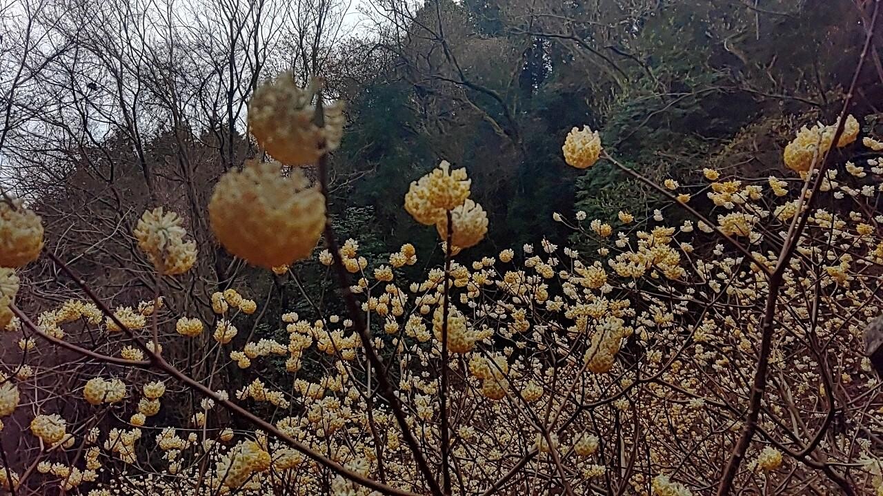 【YouTube動画】 https://... / 6Kのパンチョさんのモーメント | YAMAP / ヤマップ