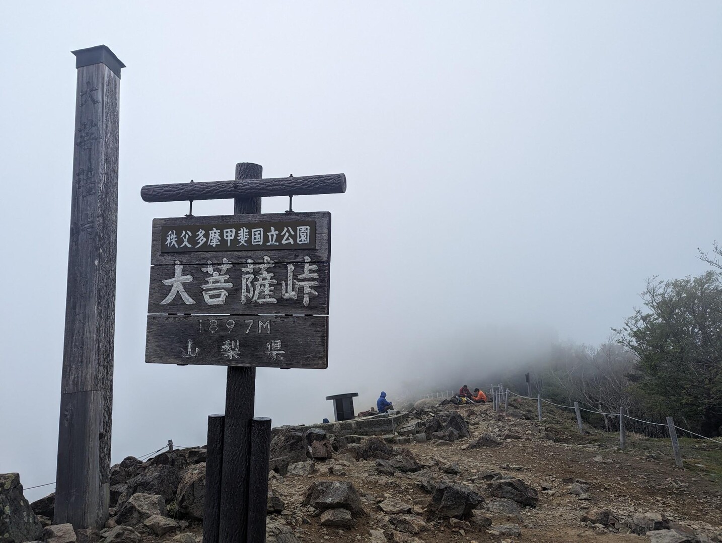 親不知ノ頭・大菩薩嶺 / pacocatさんの大菩薩嶺・鶏冠山・大マテイ山の活動データ | YAMAP / ヤマップ