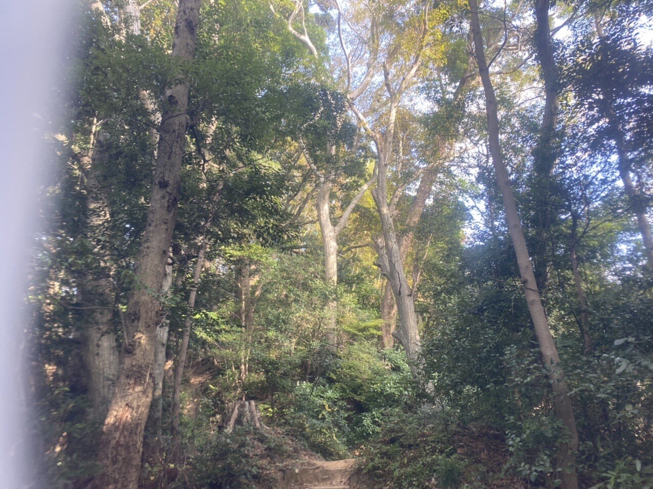 2021.11.21(日) 06:06 / miuさんのモーメント | YAMAP / ヤマップ