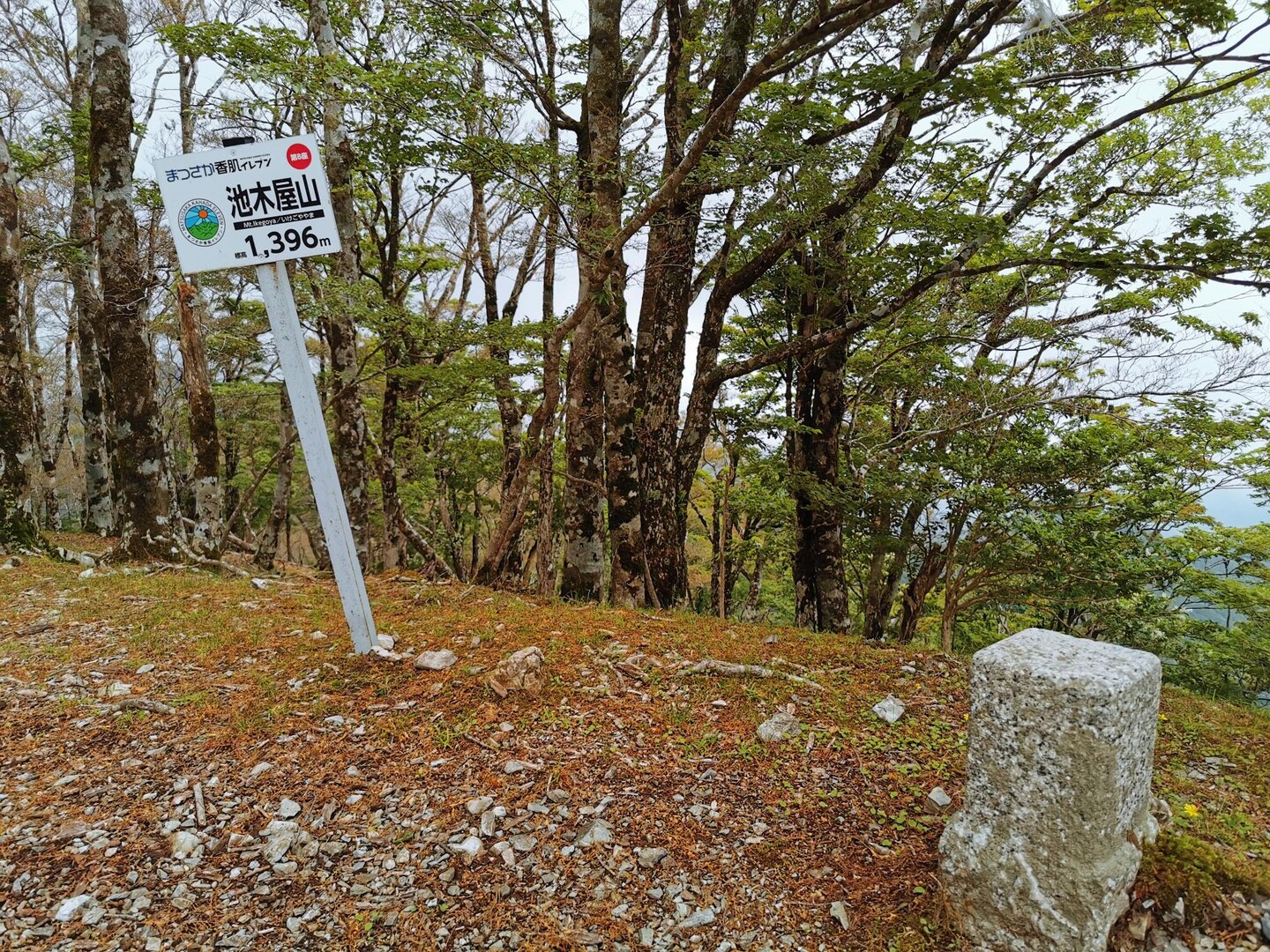 230624_ようやく池木屋山へ / ぬまちゃんさんの池木屋山の活動データ | YAMAP / ヤマップ