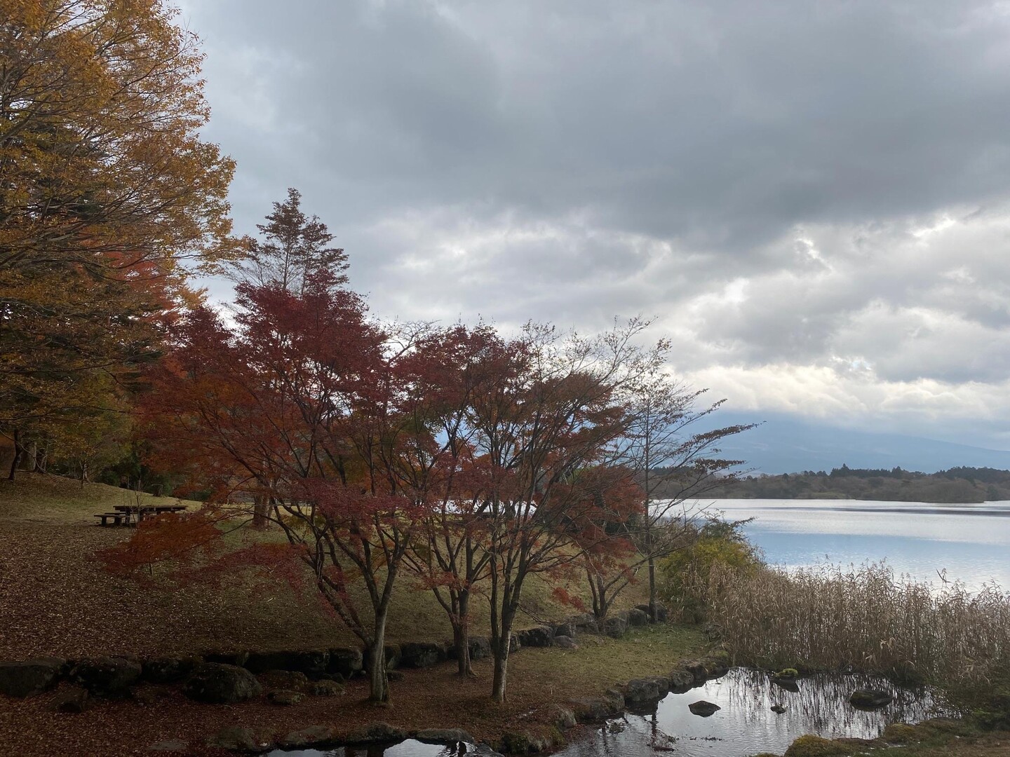 田貫湖-2022-11-13 / ブルーノマおやじさんの長者ヶ岳・天子ヶ岳の活動データ | YAMAP / ヤマップ