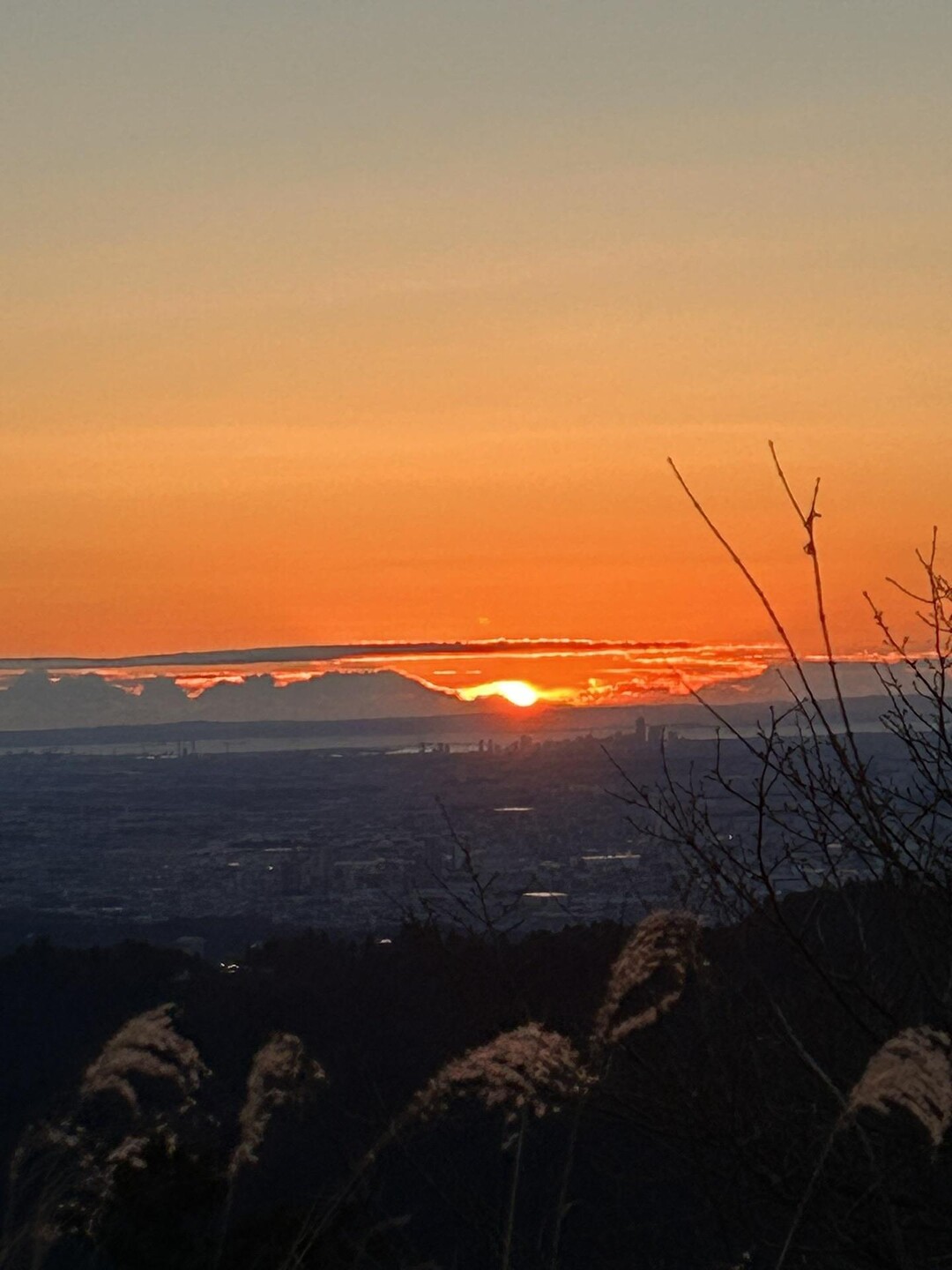 初日の出、景信山 / NIさんの高尾山・陣馬山・景信山の活動データ | YAMAP / ヤマップ