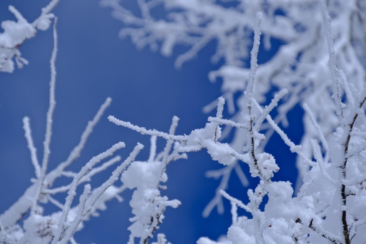 2月5日（日曜日）晴れ☀ ※山... / moroさんのモーメント | YAMAP / ヤマップ