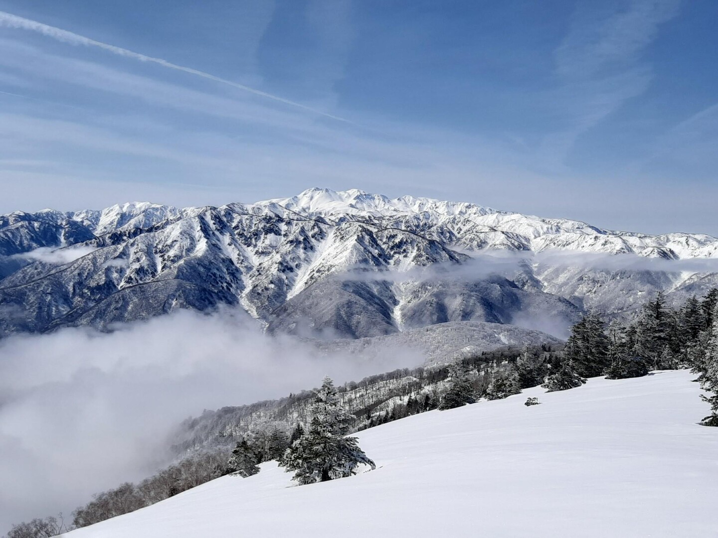 猿ヶ馬場山～せせらぎPから / どーふんさんの籾糠山の活動データ | YAMAP / ヤマップ