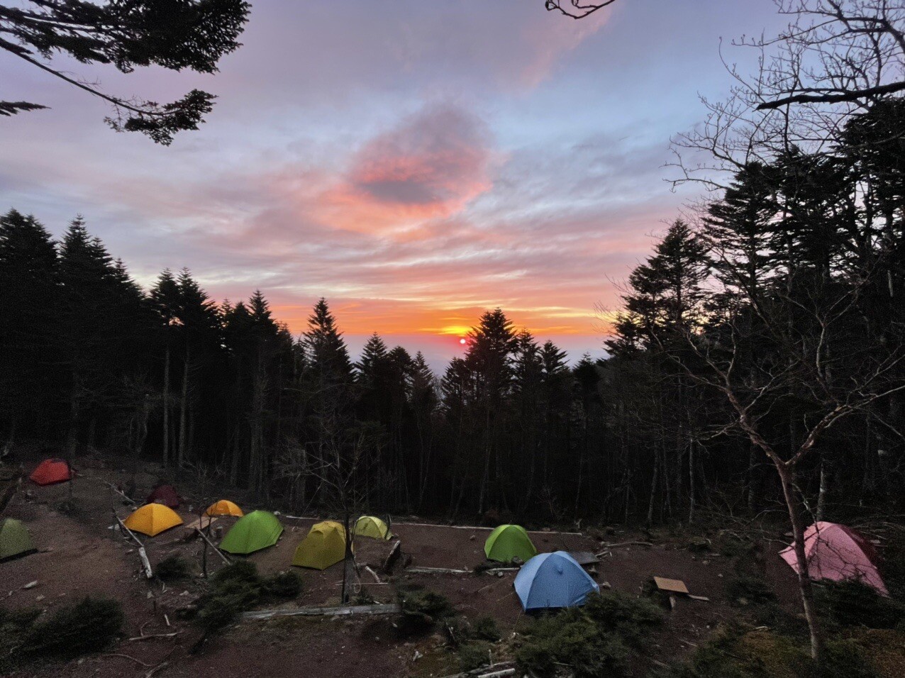 甲武信ヶ岳 1泊2日テント泊 / yumecampさんの甲武信ヶ岳の活動データ | YAMAP / ヤマップ