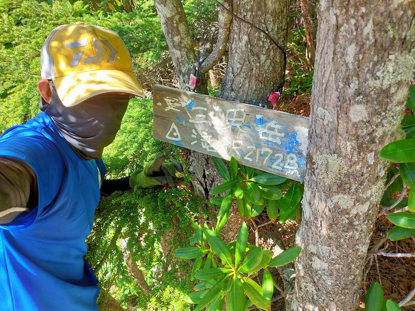 三界岳（女峰山とともに） / Sky Sunさんの女峰山・赤薙山・大真名子山の活動日記 | YAMAP / ヤマップ