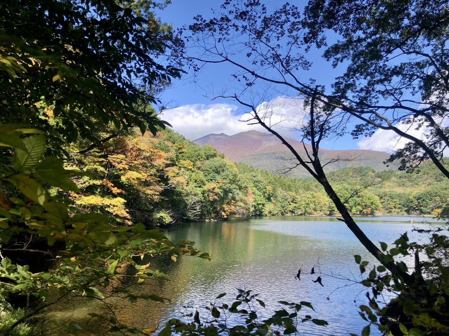 晩秋恒例『長老湖と七ヶ宿蕎麦』 / carolさんの蛤山の活動データ | YAMAP / ヤマップ