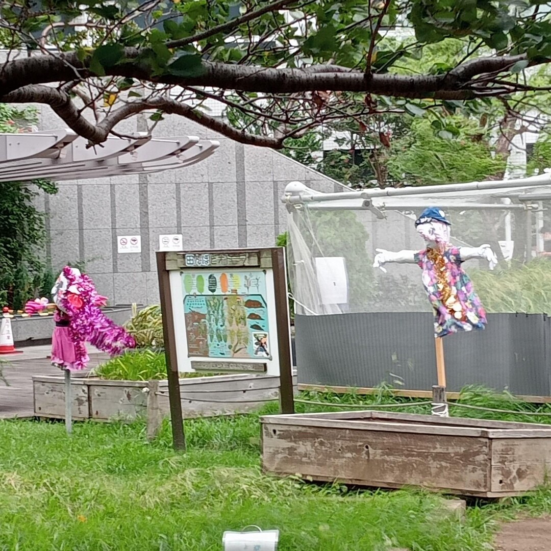 下町さんぽ - 豊洲・月島・晴海・汐留 / NORさんの東海道五十三次（日本橋・品川宿・川崎宿）の活動データ | YAMAP / ヤマップ