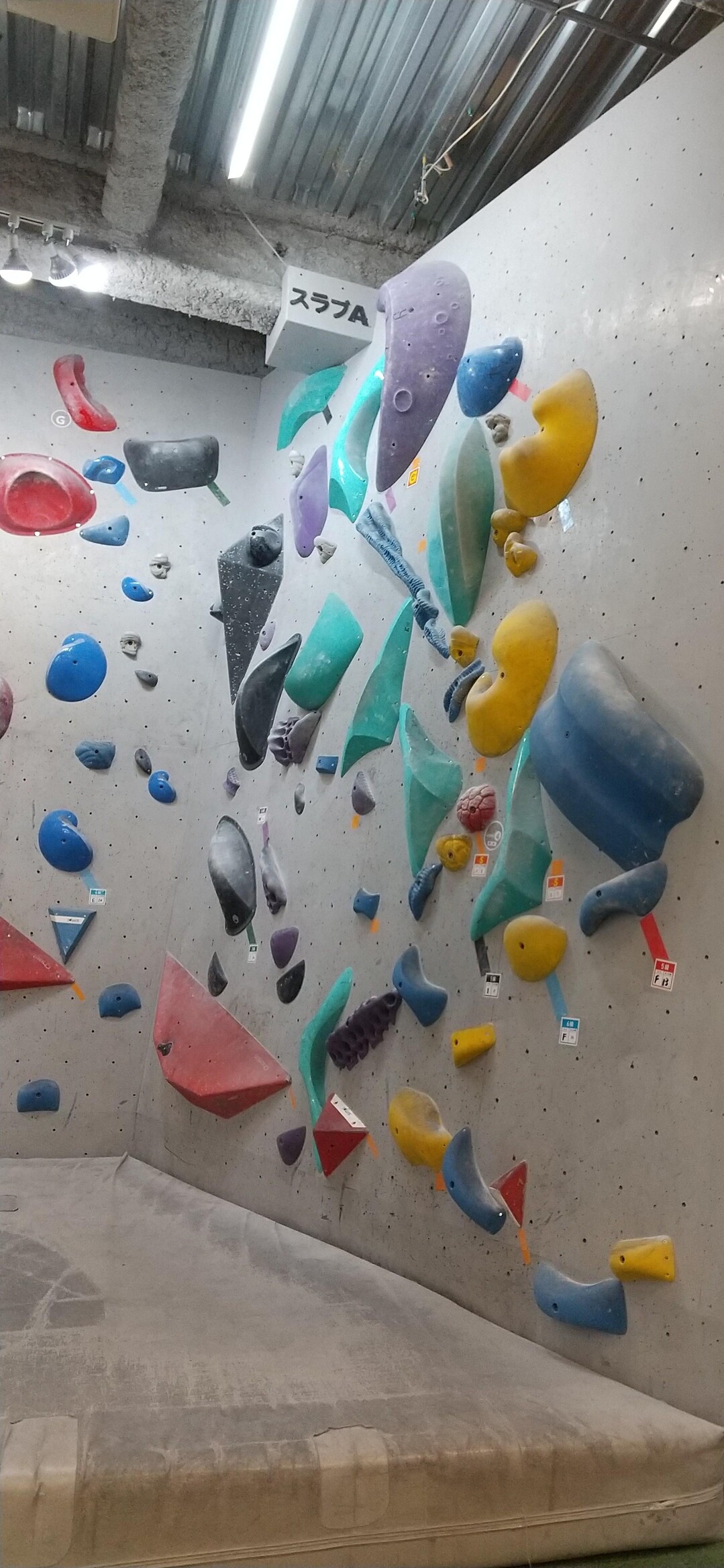 今年は巳年。ジムに通って、春にはクライミ... / あきGOGOさんのモーメント | YAMAP / ヤマップ