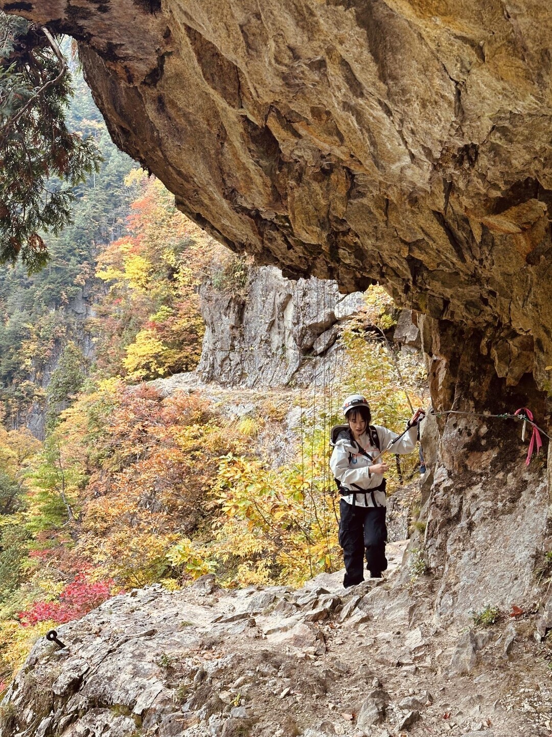 下ノ廊下〜阿曽原温泉〜欅平駅-2023-10-27 / Tao Yinanさんの立山・雄山・浄土山の活動データ | YAMAP / ヤマップ