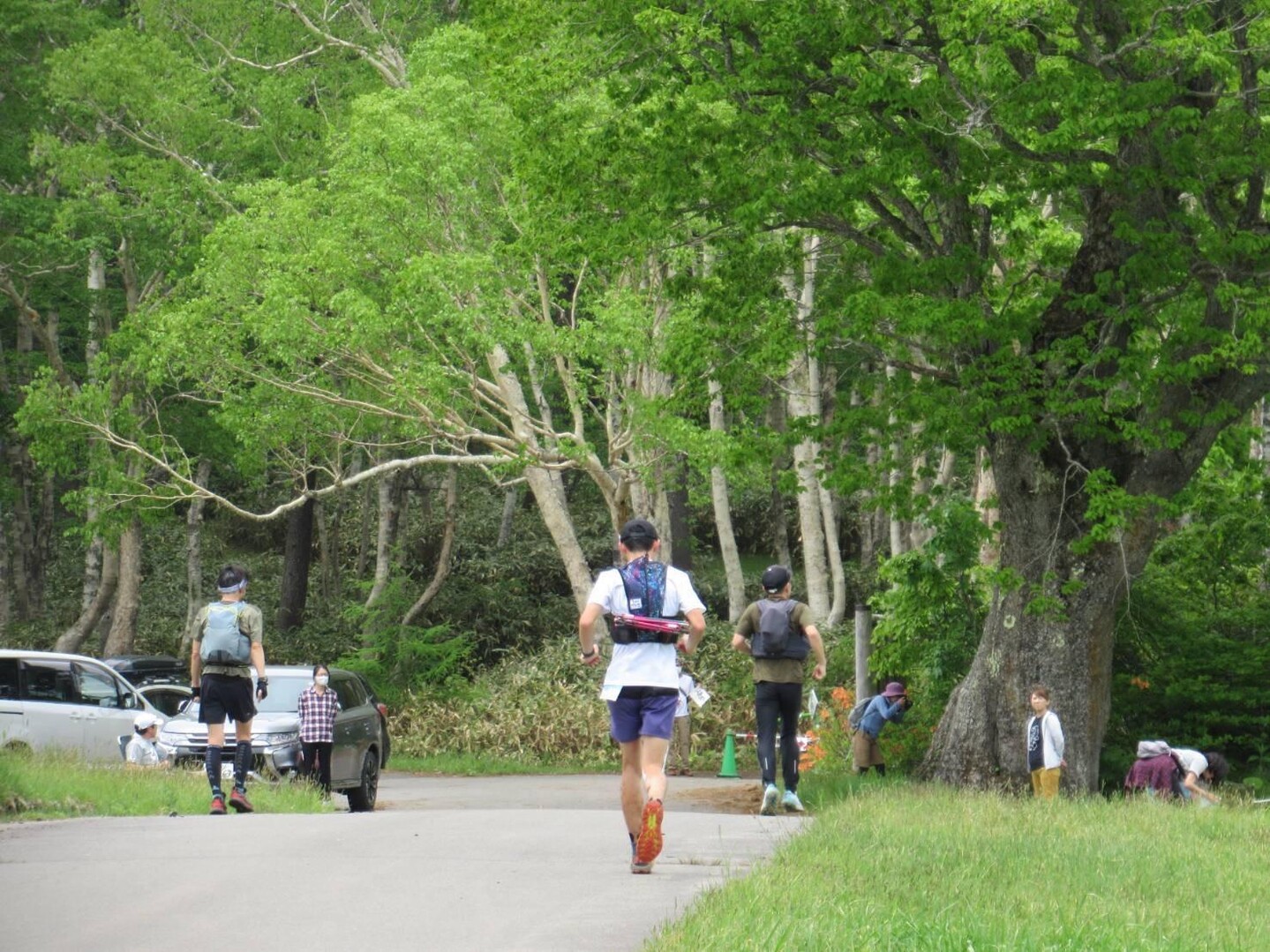 奥信濃100k / ナオキさんの高社山（高井富士）の活動データ | YAMAP / ヤマップ