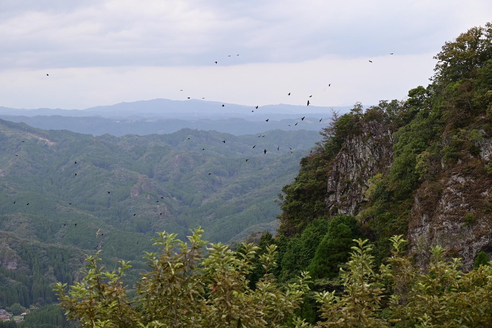 鹿嵐山へ下見登山 / marco さんの鹿嵐山の活動日記 | YAMAP / ヤマップ