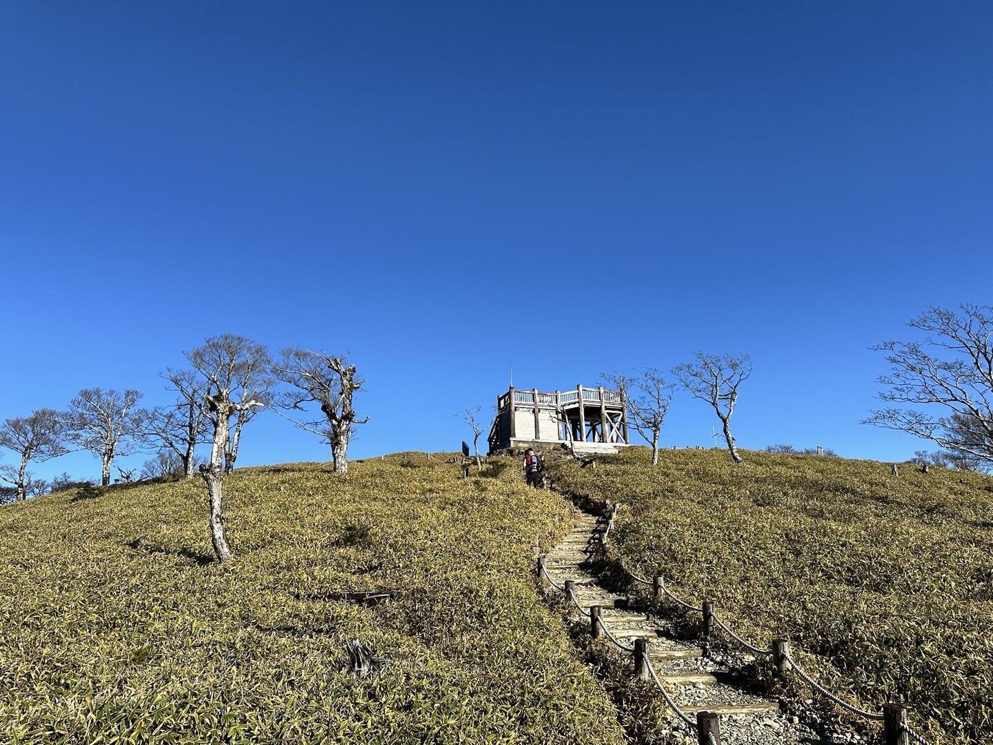 【百名山⑤⑨】大台ヶ原山（日出ヶ岳） / Kobaさんの大台ヶ原山・日出ヶ岳・大杉谷の活動データ | YAMAP / ヤマップ