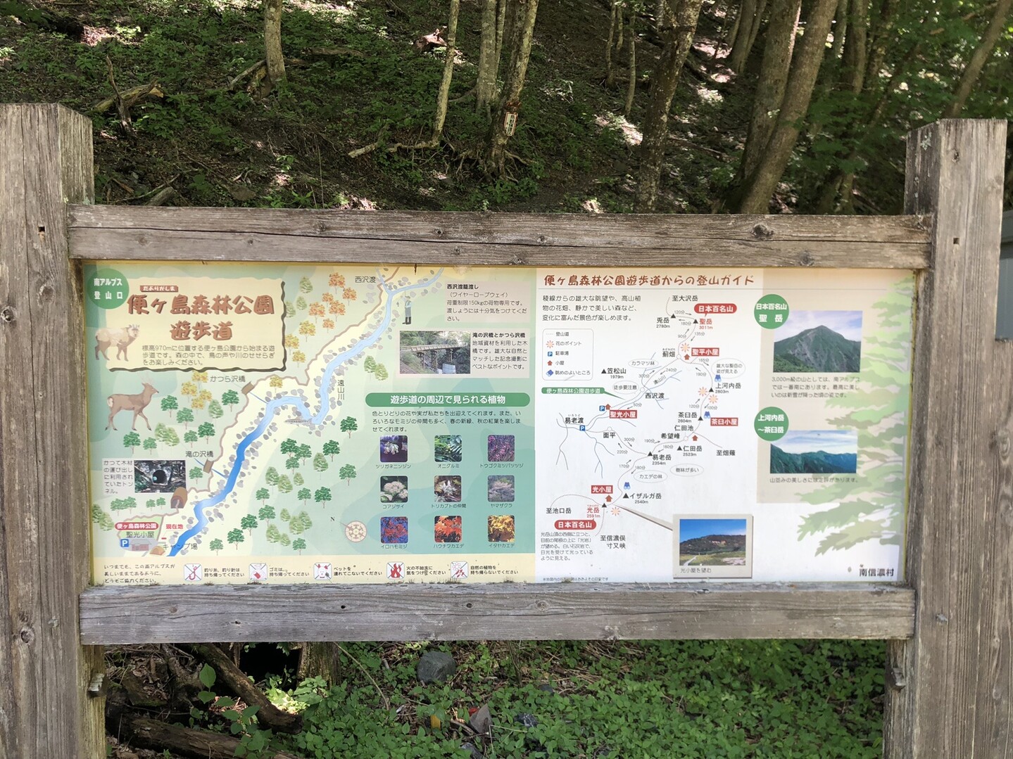 南アルプス 聖岳 / shine🏔さんの聖岳・大沢岳・光岳の活動日記 | YAMAP / ヤマップ