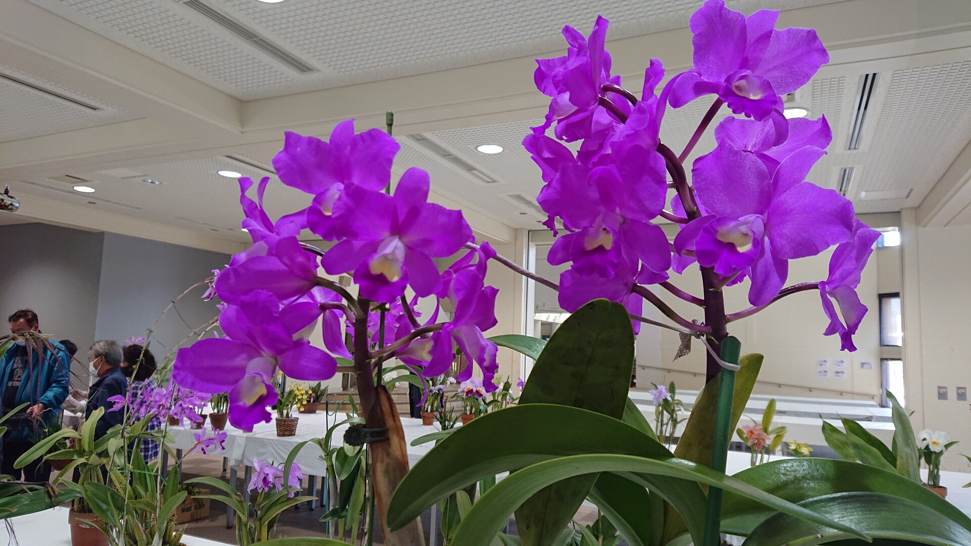 2020.11.15(日) 03:41 / トニーさんのモーメント | YAMAP / ヤマップ