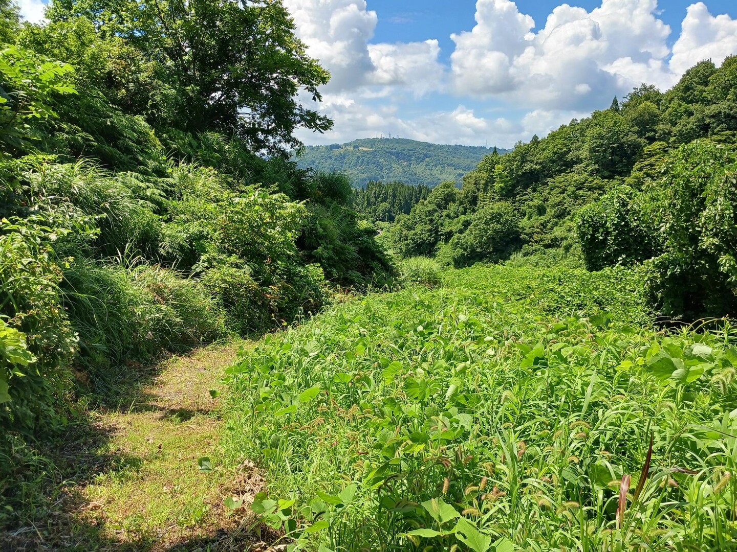 木津八海山往復 / ta-さんの朝日山の活動データ | YAMAP / ヤマップ