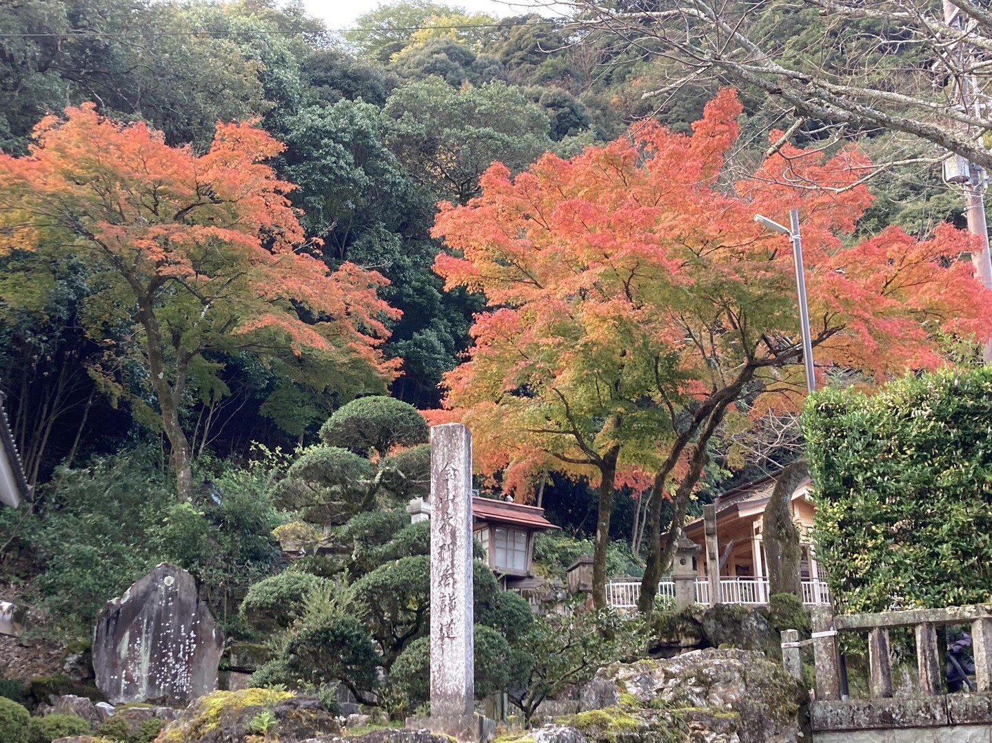四季があるって素晴らしい！同じ風景が違っ... / かすみんさんのモーメント | YAMAP / ヤマップ