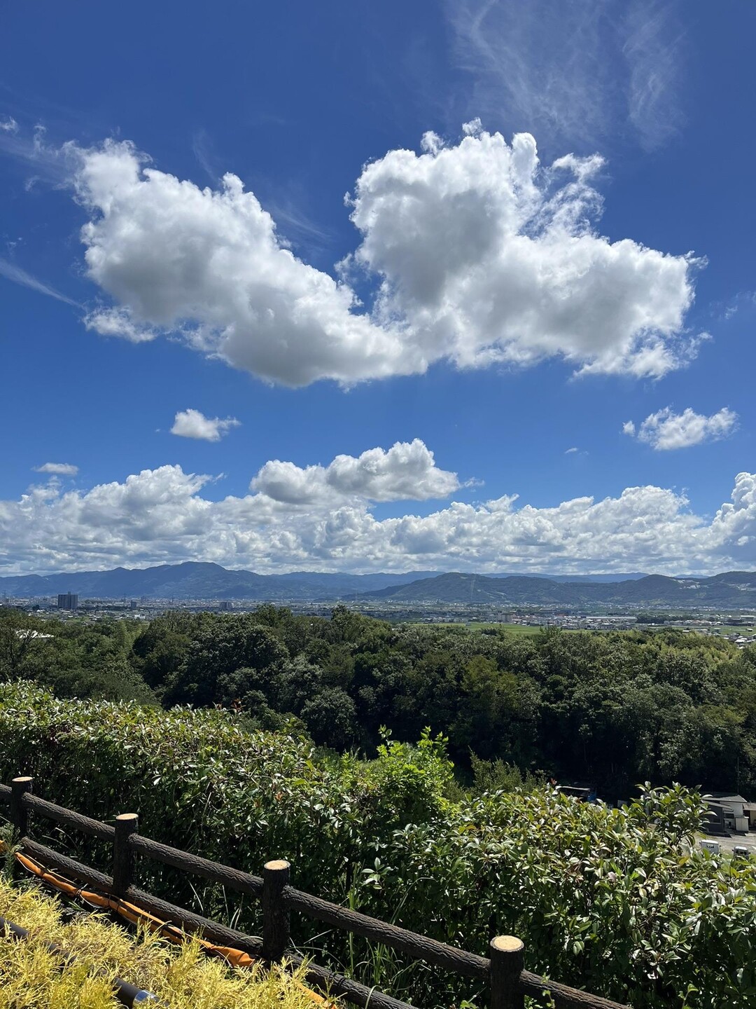 和歌山に行って参りました。 今年の夏も仕... / Masaさんのモーメント | YAMAP / ヤマップ