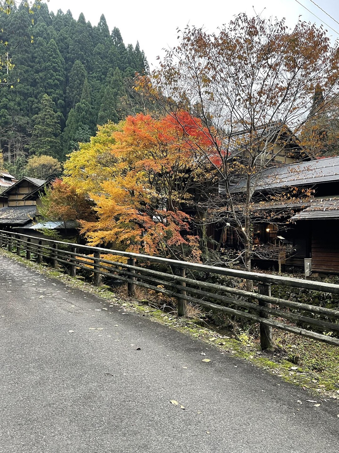 用瀬alps / daidaiさんの用瀬アルプスの活動データ | YAMAP / ヤマップ