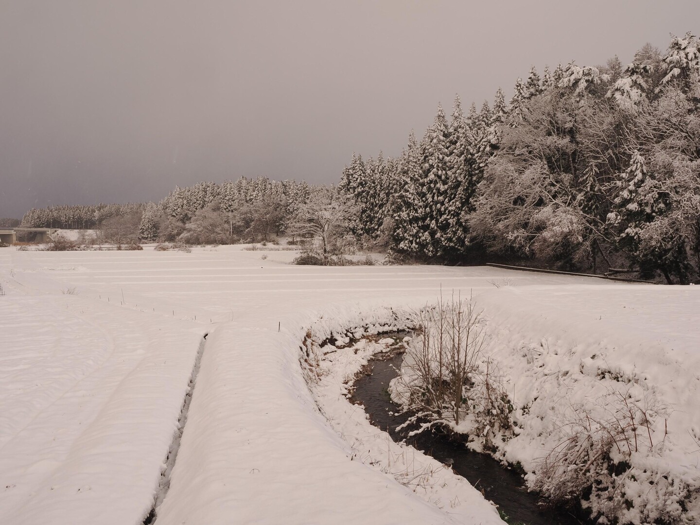 1台分の道に入り目的地まであと10km切... / 足知（アッシ？ですか）さんのモーメント | YAMAP / ヤマップ