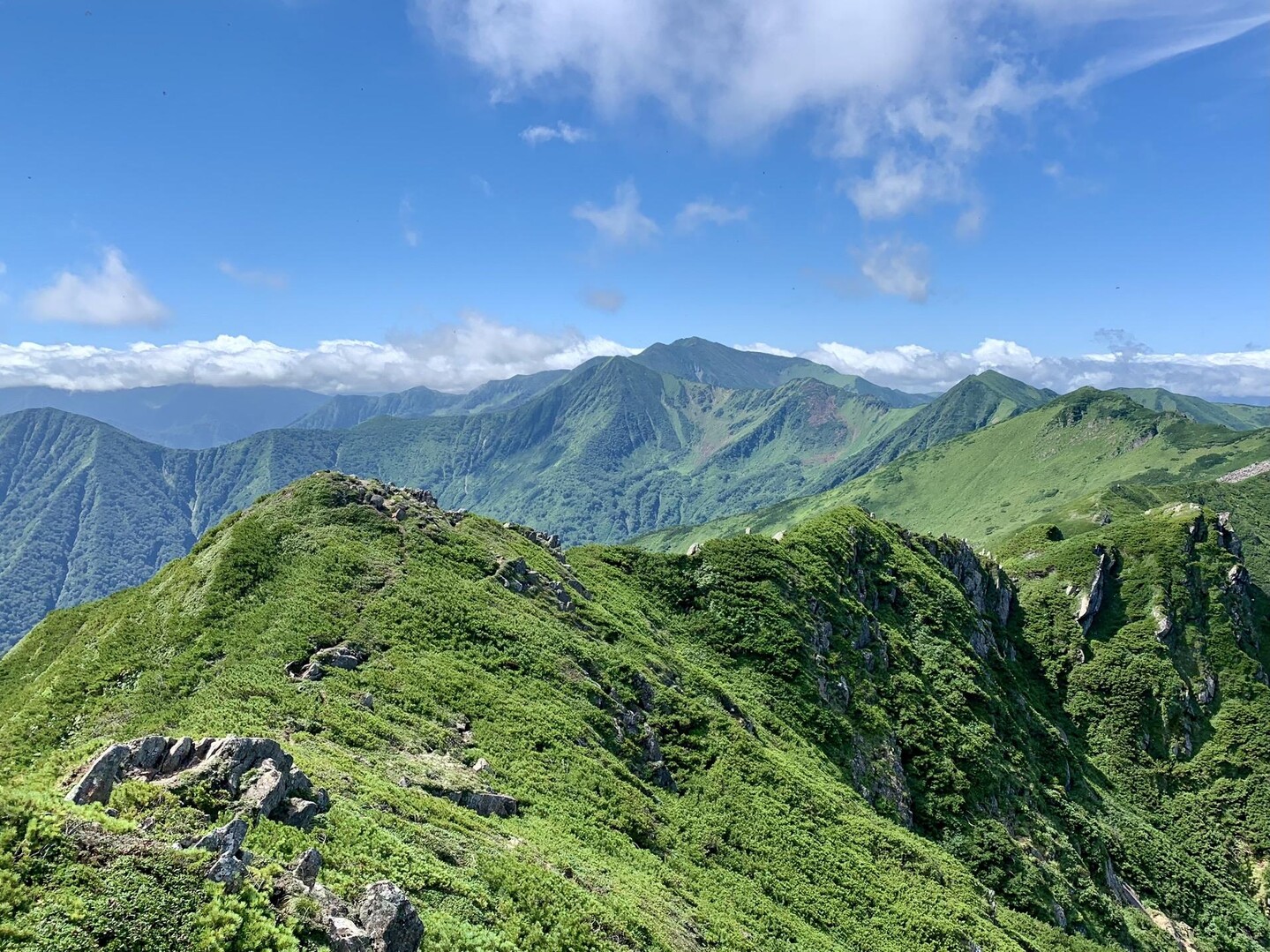 ヌカビラ岳・北戸蔦別岳・1967峰 / 幌尻岳・戸蔦別岳・伏美岳の写真63枚目 | YAMAP / ヤマップ