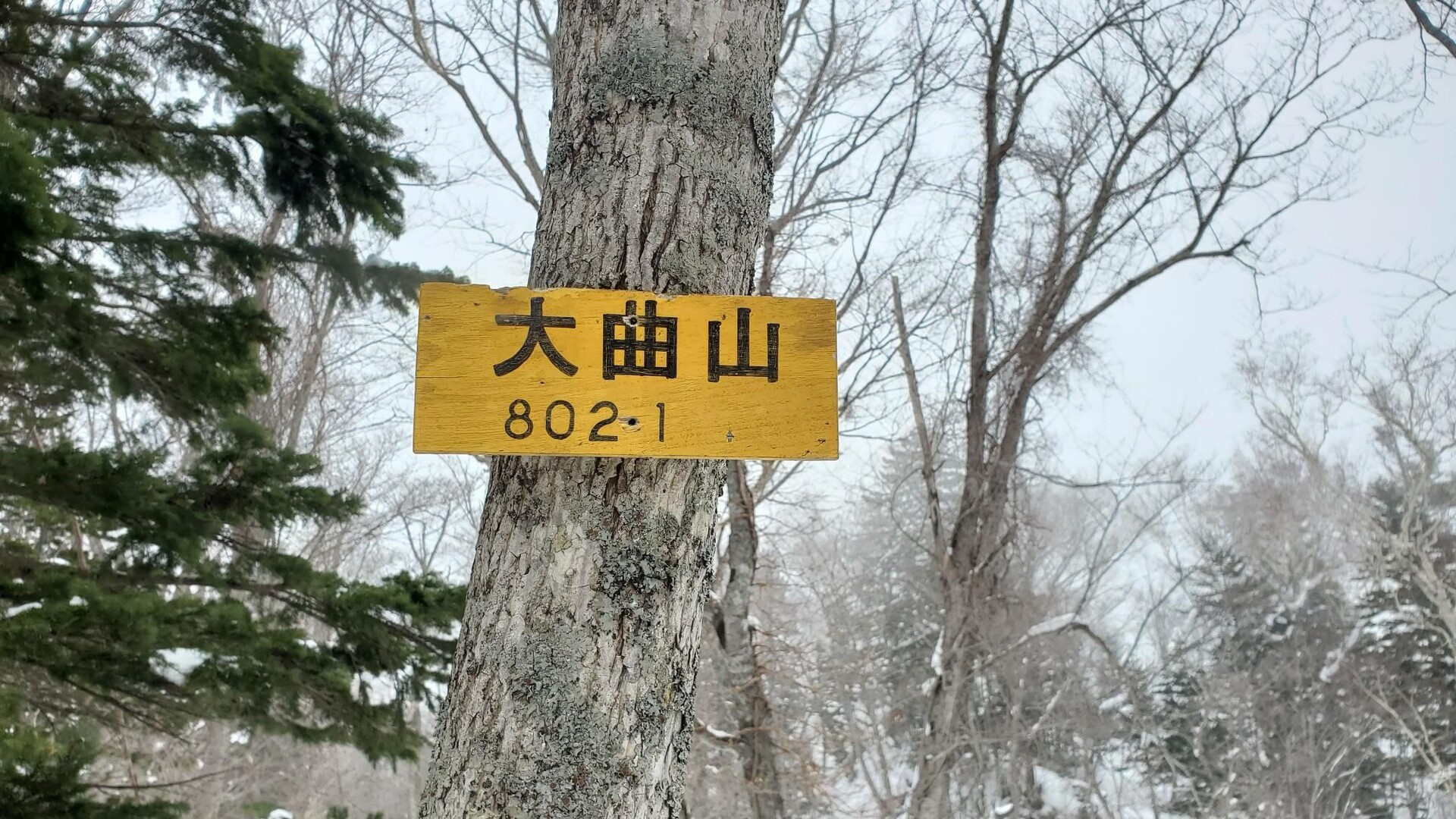 大曲山・800m峰 / agaさんの札幌岳・空沼岳の活動データ | YAMAP / ヤマップ