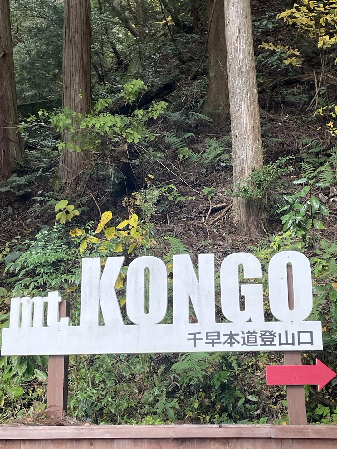 訳あり!金剛山27回目! / kooさんの金剛山・二上山・大和葛城山の活動データ | YAMAP / ヤマップ