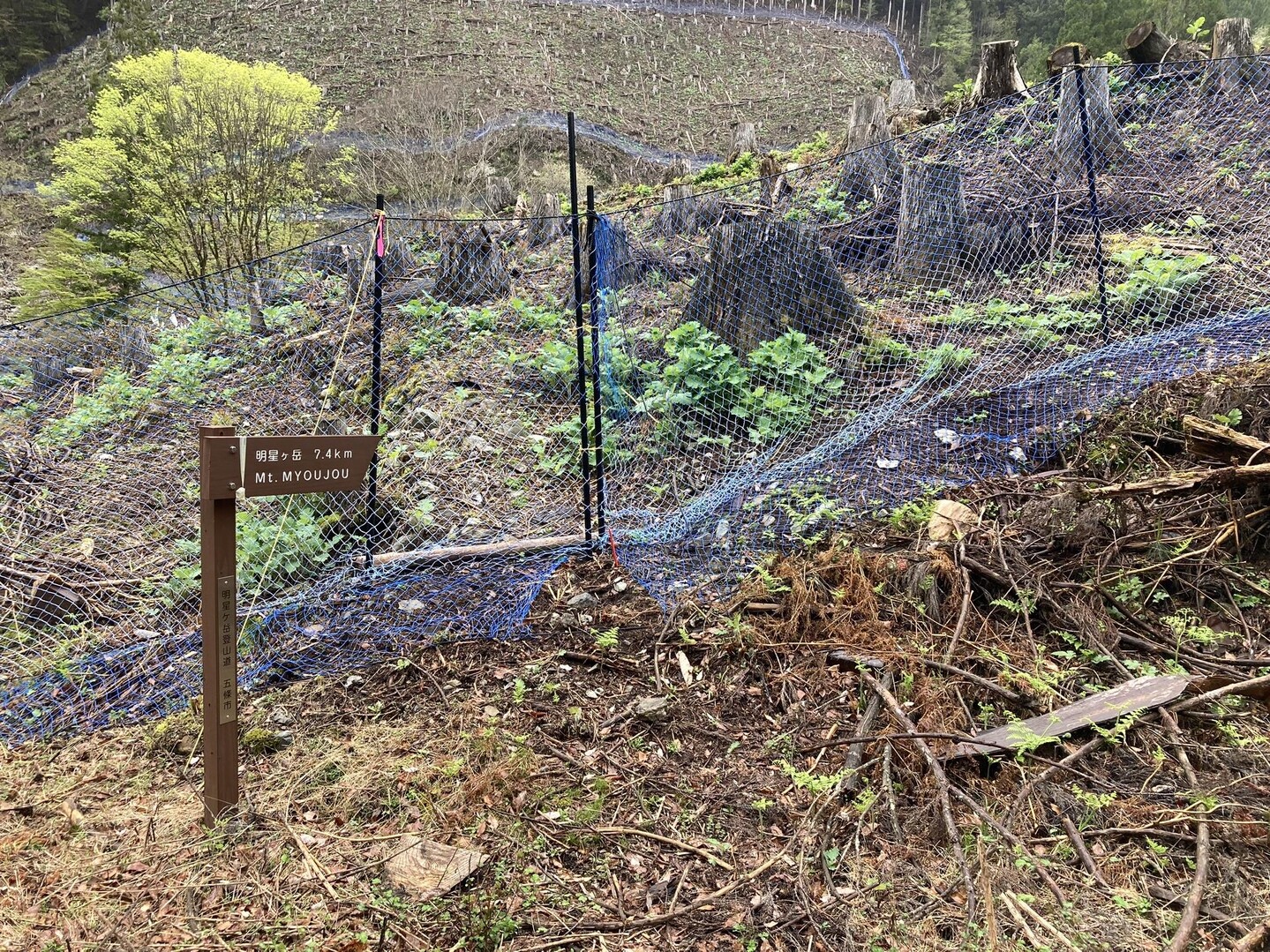 akimetalさんの投稿したフィールドメモ | YAMAP / ヤマップ