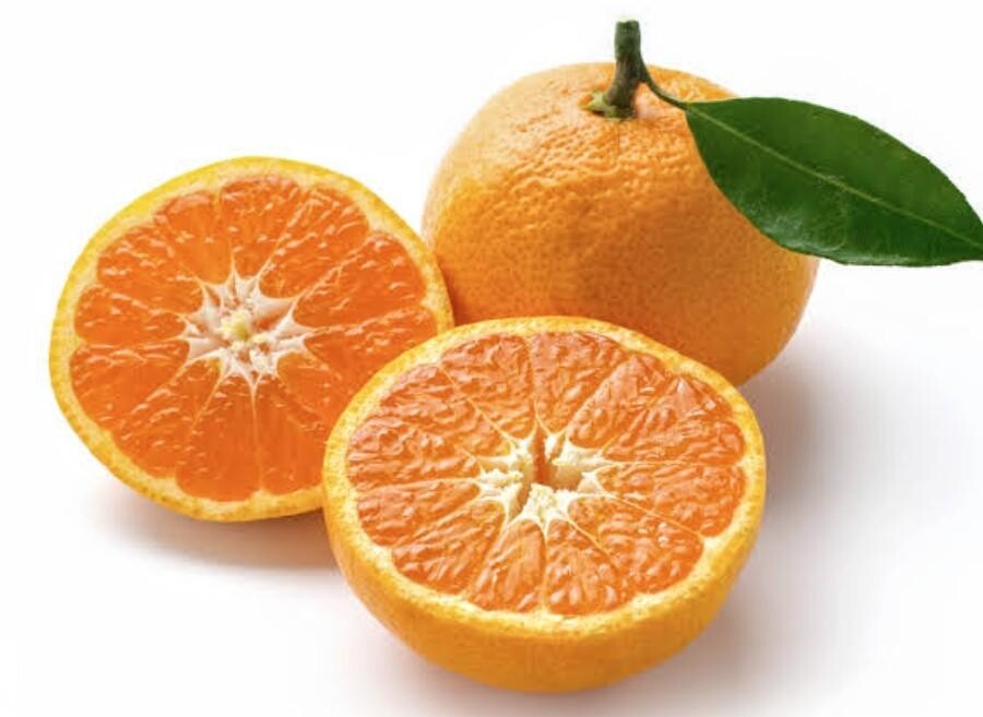 🍹ﾌﾞﾗｯﾄﾞｵﾚﾝｼﾞ🍹𝓑𝓵𝓸𝓸𝓭 𝓞𝓻𝓪𝓷𝓰𝓮 のページ | YAMAP / ヤマップ