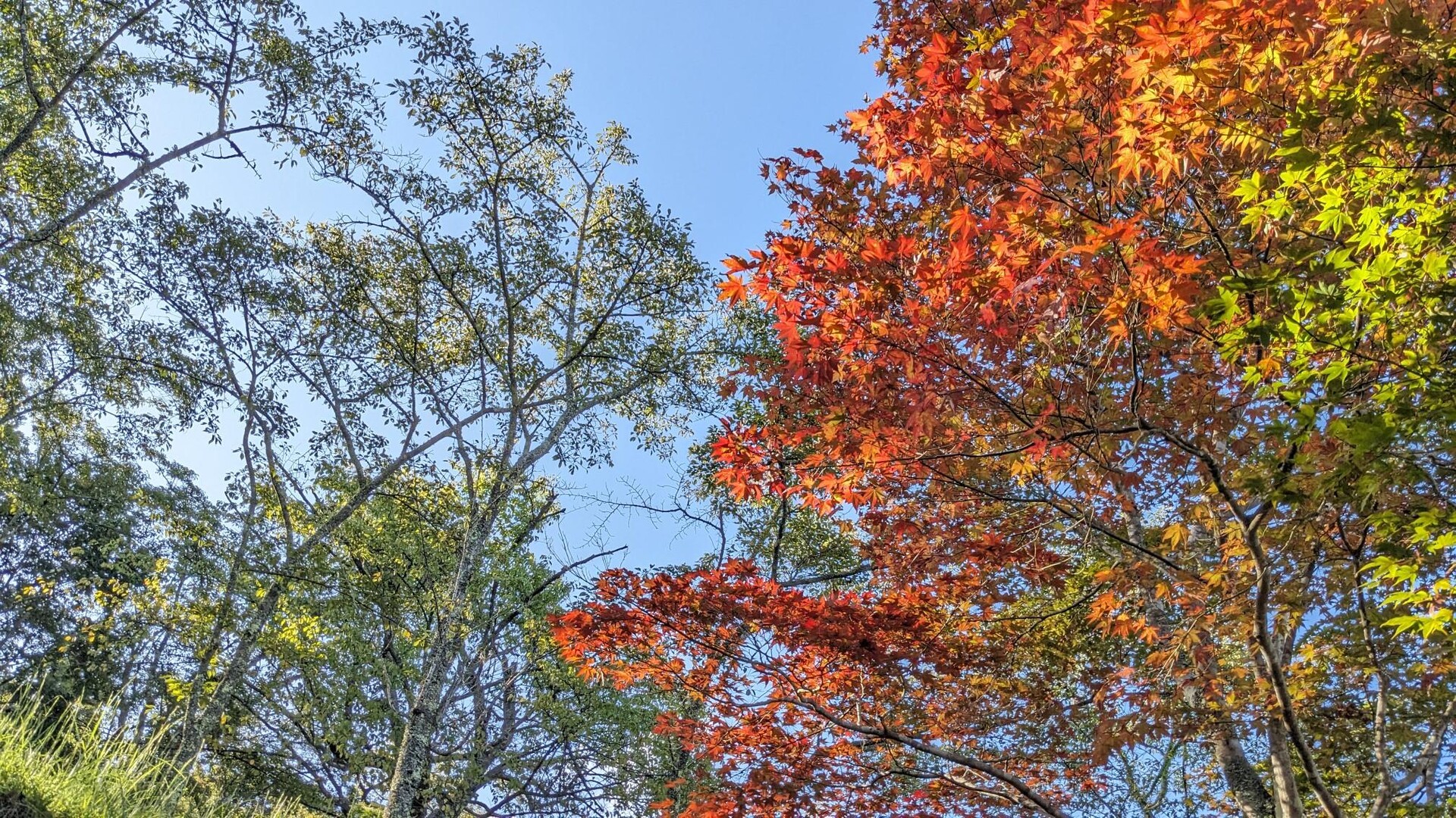 立雲峡 / seigoさんの但馬竹田・竹田城・朝来山の活動データ | YAMAP / ヤマップ