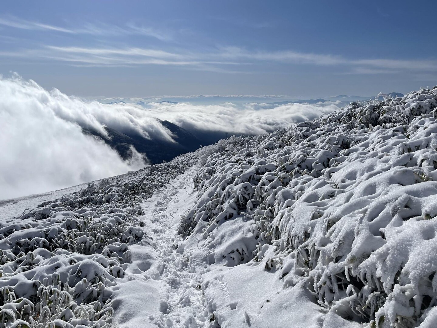 白銀の平標 ️ / kick x3さんの仙ノ倉山・平標山・大源太山の活動データ | YAMAP / ヤマップ