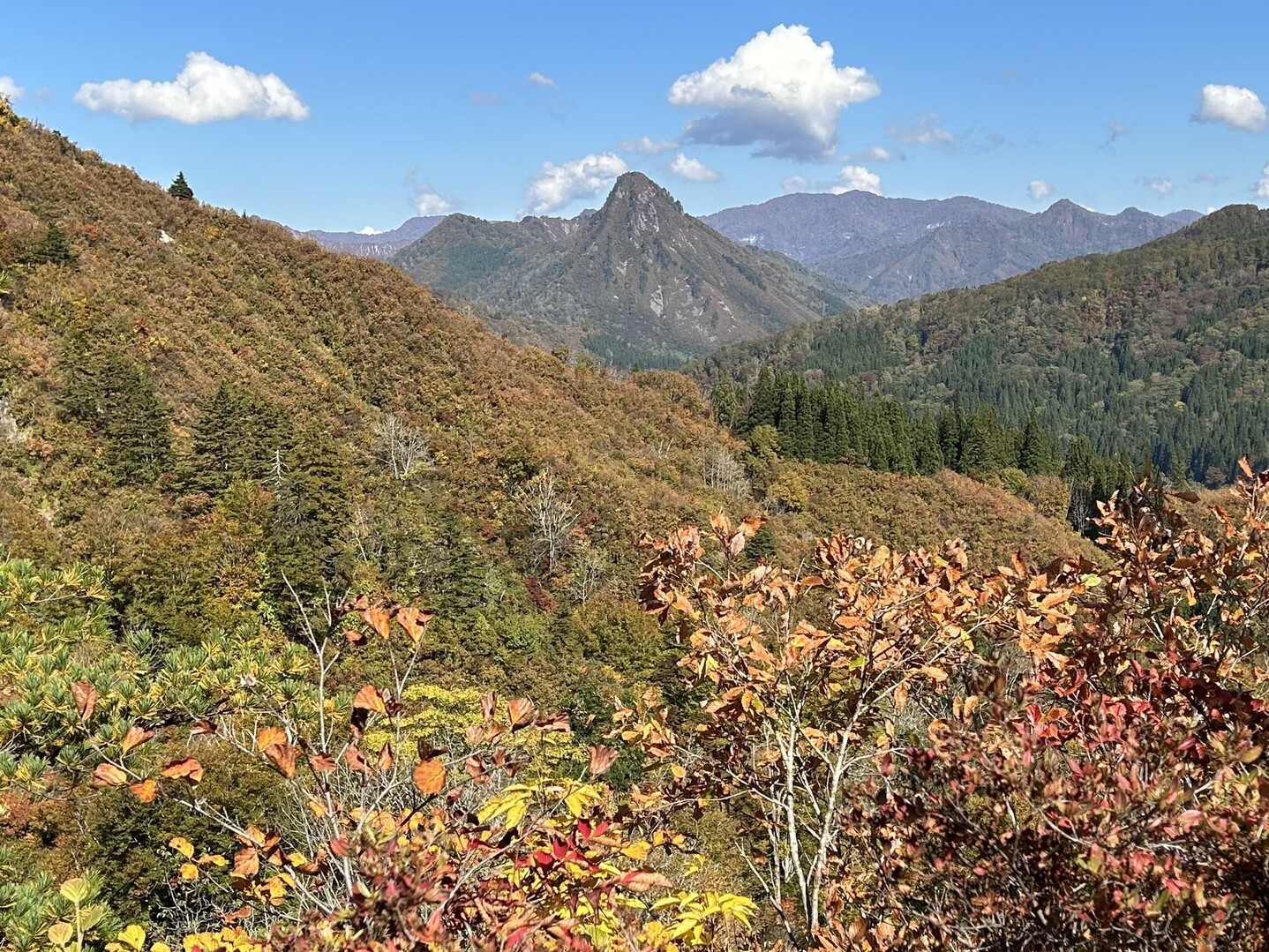 要害山で只見四名山コンプ / mimosaさんの蒲生岳の活動データ | YAMAP / ヤマップ