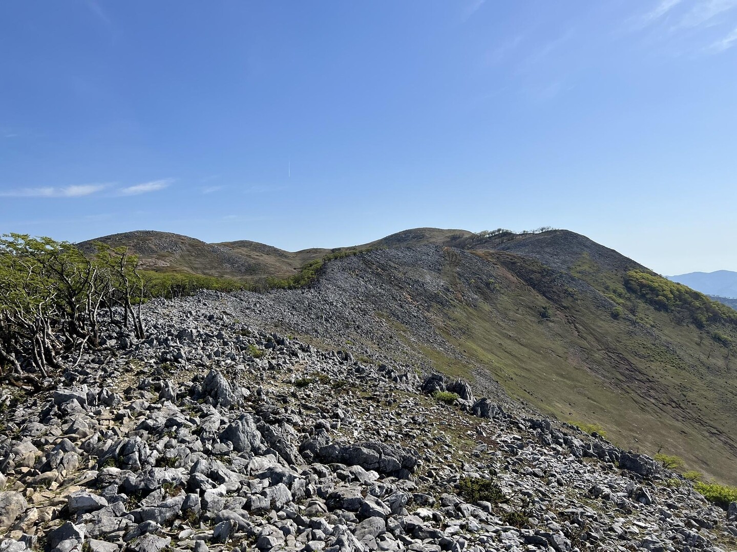 霊仙山 / togonovoさんの霊仙山の活動データ | YAMAP / ヤマップ