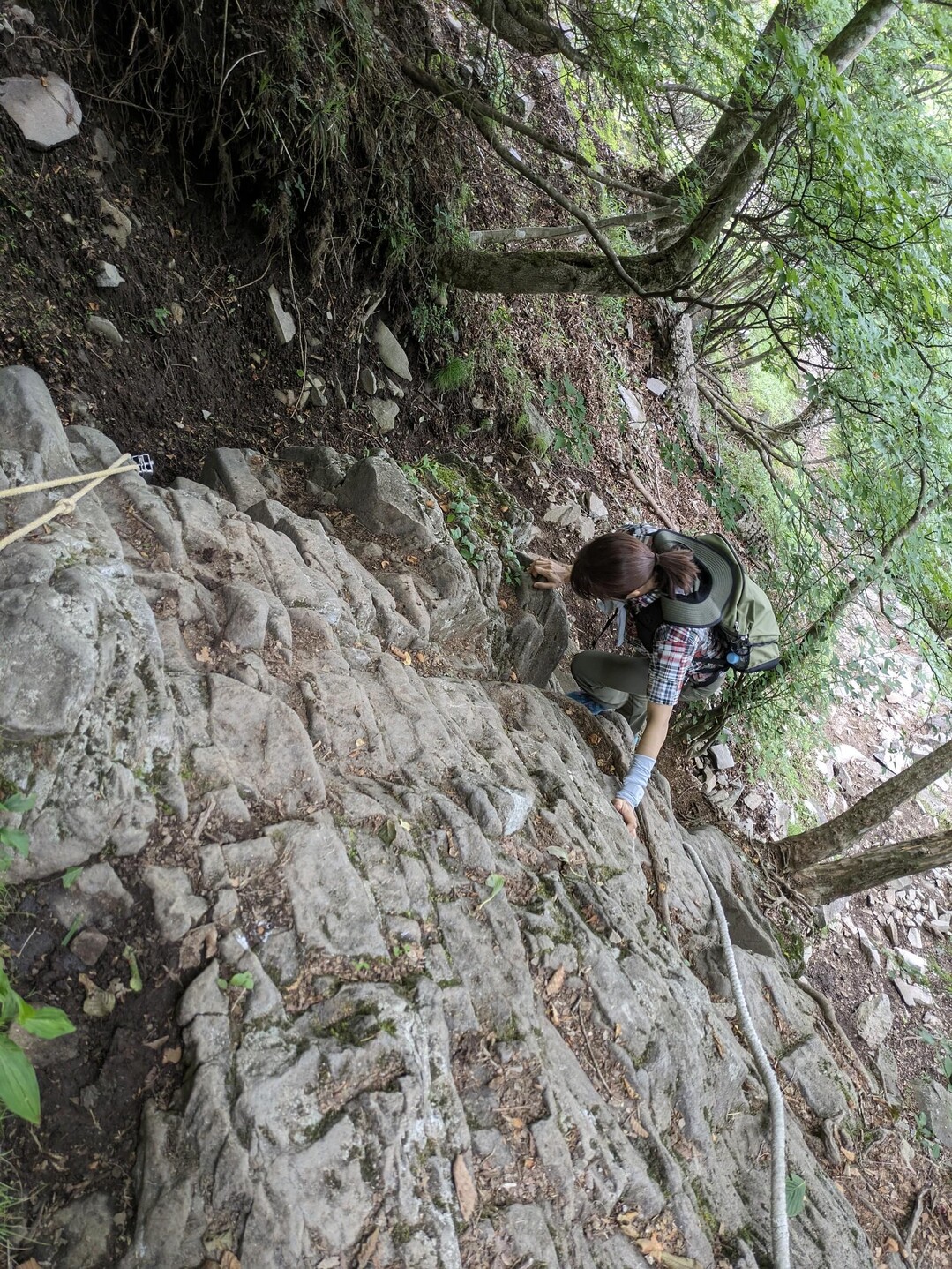 裏英彦山で癒やしの散策する予定だったのでは / kazuakaさんの英彦山の活動データ | YAMAP / ヤマップ