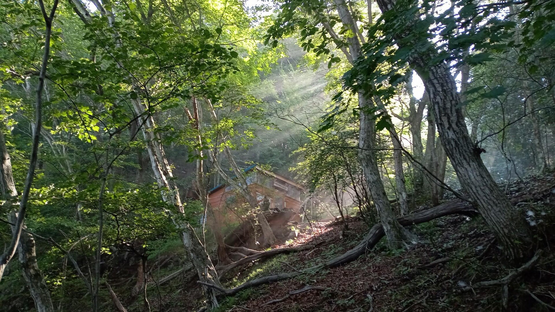 鳴神山（桐生岳） / Hiro'ismさんの鳴神山・吾妻山の活動データ | YAMAP / ヤマップ